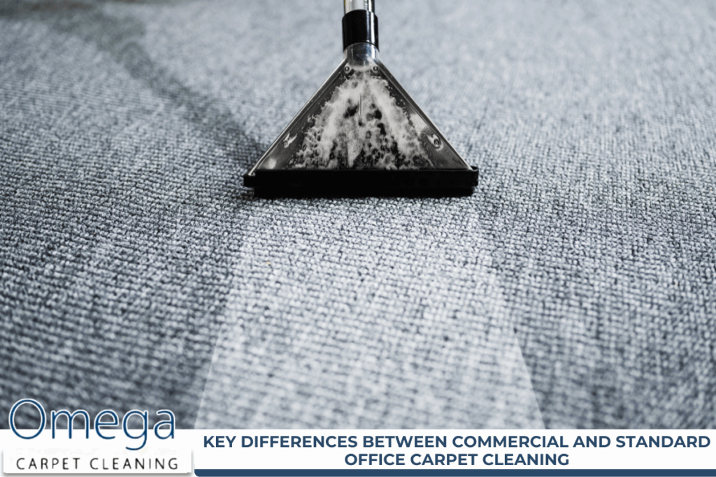 Commercial vs. Standard Office Carpet Cleaning in Melbourne | Omega ...