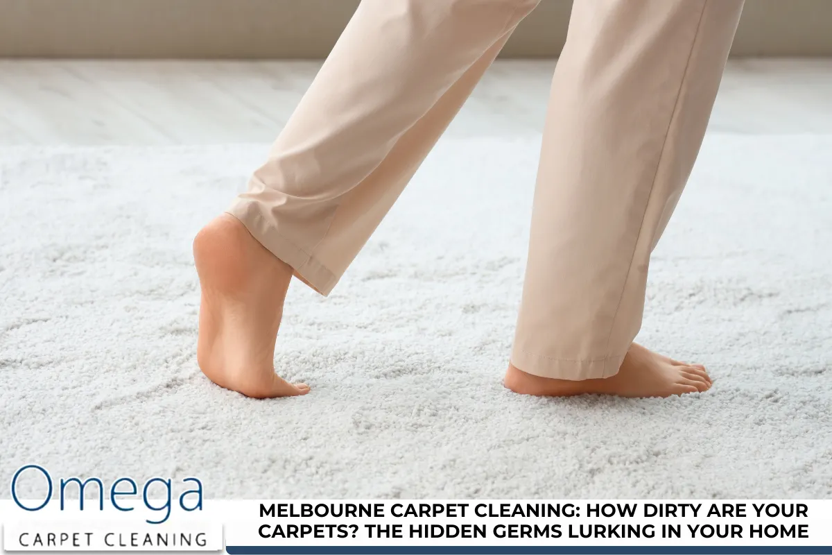 MELBOURNE CARPET CLEANING: HOW DIRTY ARE YOUR CARPETS? THE HIDDEN GERMS ...